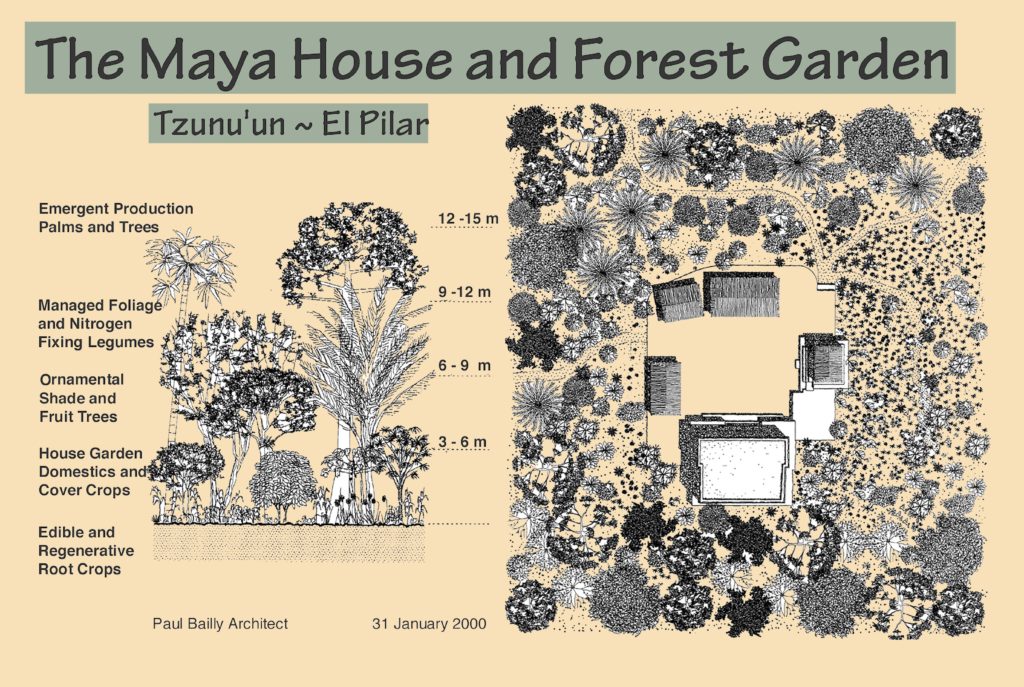 Conserving the American Tropics: Exploring the Cropscape of the Ancient ...